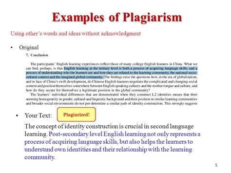 Examples Of Plagiarism Types Of Plagiarism In Academic Research Paper Per Hou