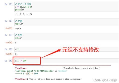 【学习笔记】13、标准数据类型—元组sap的元组 Csdn博客