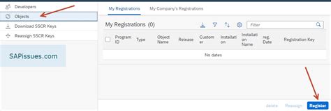 How To Get SAP Developer Access Key SAPissues Com