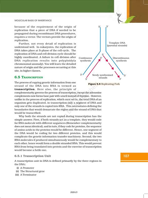 Molecular Basis Of Inheritance NCERT Book Of Class Biology
