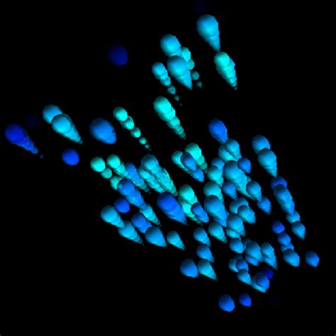 Method 3 Particle Tracking Download Scientific Diagram