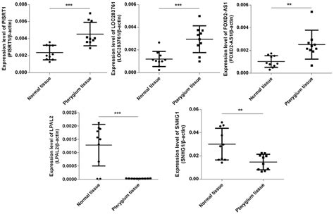 Differential Expression Of Long Non Coding Rnas Lncrnas Between