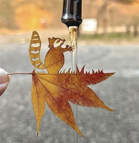 Rose West Steepleton