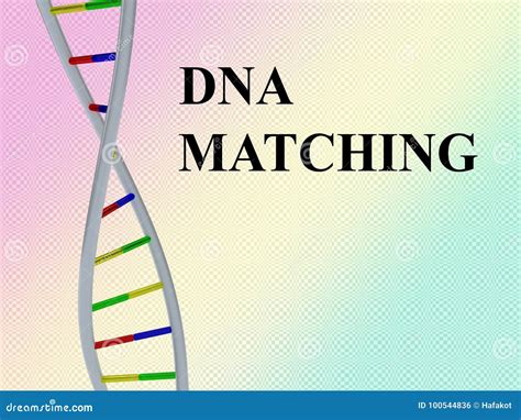 Dna Matching Genetic Concept Stock Illustration Illustration Of