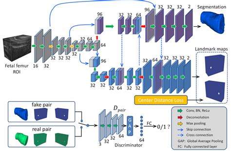Our Framework For Simultaneous Segmentation Upper Branch And Landmark
