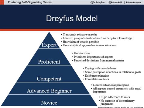 The Five Dreyfus Model Stages 47 OFF Dobytudesign Cz