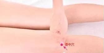 委中穴放血 能调很多病 知乎