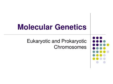 Ppt Molecular Genetics Powerpoint Presentation Free Download Id