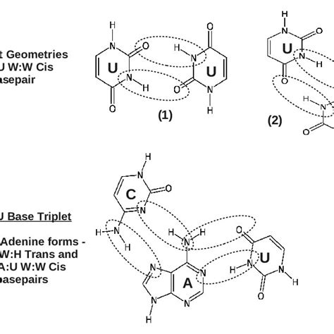 8 Resonance Structures Of Protonated With Proton At Carbonyl Oxygen Download Scientific