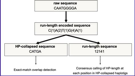 Hifi Assembler Series Part 2 Hicanu Near Optimal Repeat Resolution