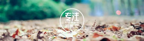 Vi设计手册全套模板案例欣赏vi设计手册步骤 成都顺时针vi设计公司