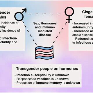 An Overview Of The Difference In Disease Incidence Between Cisgender