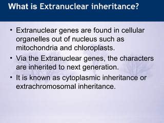 Extranuclear Inheritance PPT Genetics Science