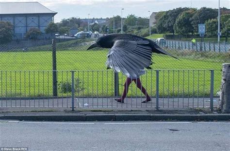 偶然撮れてしまった奇跡の写真15枚 Perfectly timed photos Strange photos Cool pictures