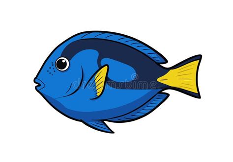 Blue Tang Clip Art Stock Vector Illustration Of Scales 366194162