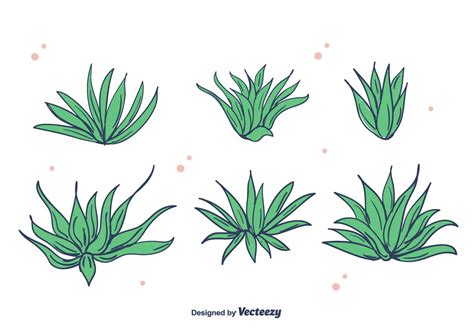 Descargar Maguey Vector Gratis Plant Vector Tattoos And Piercings