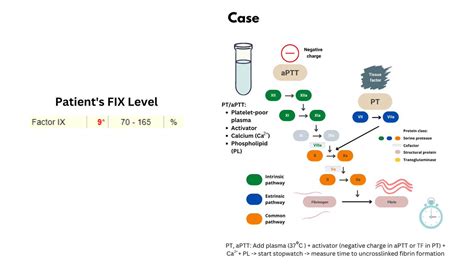 CASE Yo M With Elevated PTT But Normal PT See Graphic QUESTION What Is The