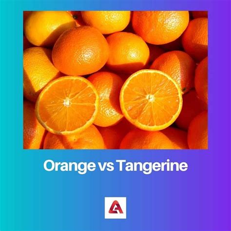 Orange Vs Tangerine Difference And Comparison