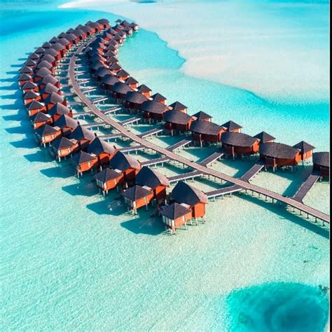 Mahmoud Adel New Graduate Wenn Sie Einen Schönen Urlaub Verbringen Möchten Kontaktieren Sie