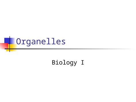 Ppt Organelles Biology I Plant Cell Cellular Boundaries Cell Membrane Thin Flexible Barrier