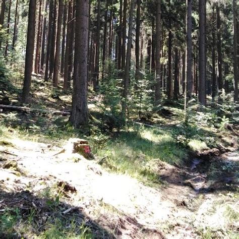 Sensor Synchronization Based On Closely Related Timestamp Download Scientific Diagram