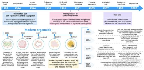 人工智能在类器官构建、分析和应用中的系统性综述 检测资讯 嘉峪检测网