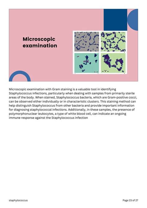 Staphylococcus Full Notes Microbiology Pdf