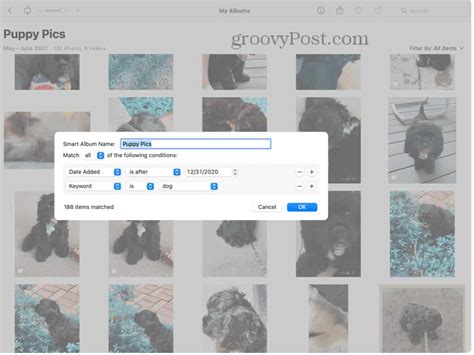 How To Create Smart Albums In Photos In Macos Monterey