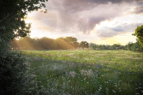 The Ruby Cube Ltd Posted On Linkedin