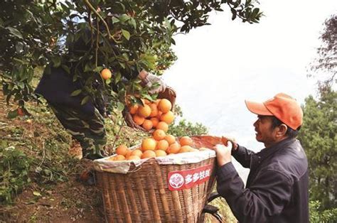 三峡工程的移民都去了哪里地球知识局