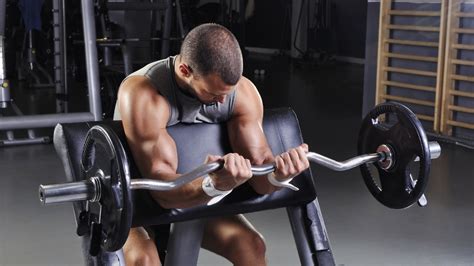 Seated Bicep Curls