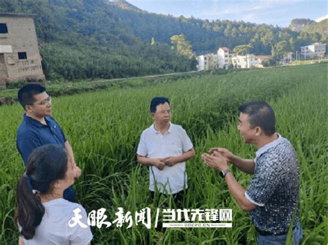 抓好服务保障 夺取秋粮丰收 贵州省农业农村厅到黔南州开展指导工作抗旱张元鑫旱情