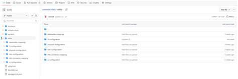 Code Versioning Sdlc Process And Cicd Reltio Connect