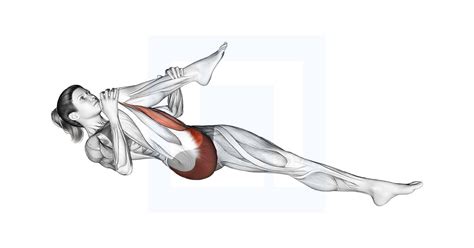 Recumbent Hip External Rotator And Hip Extensor Stretch Guide Benefits And Form