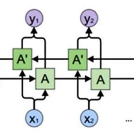 Biodirectional RNN The Model Takes Patient First Month Months Download Scientific
