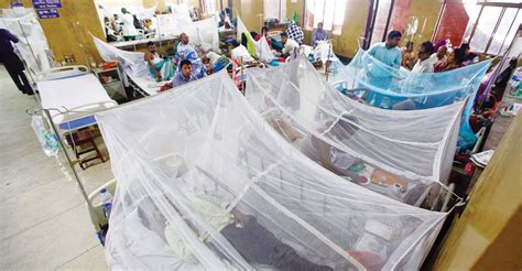 ডেঙ্গু আরও ২৬৬ জন হাসপাতালে ভর্তি