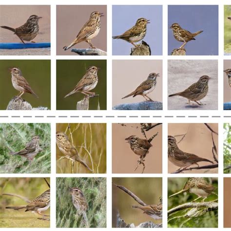 Example Of Partitioning Of Latent Code Space Between Good Two Top Download Scientific Diagram