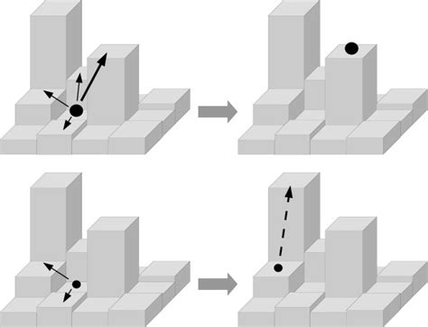 Schematic Evolution Of Large And Small Asexual Populations Top Panels Download Scientific