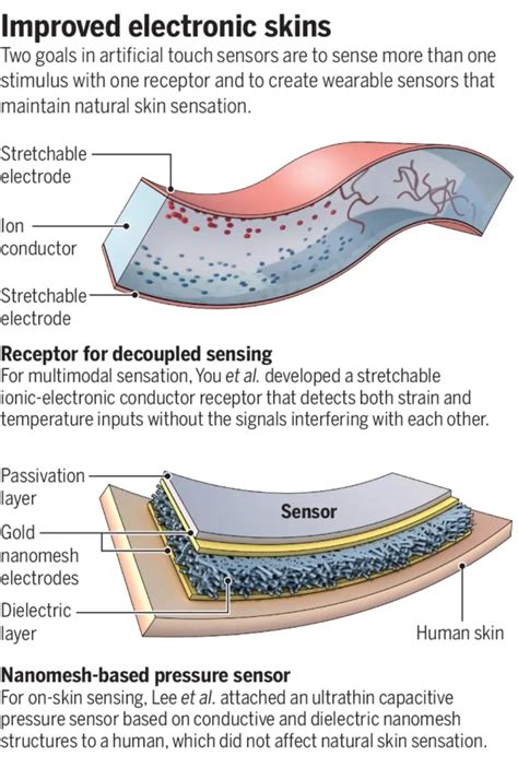The Future Of Electronic Skin E Skin Future Disruptor
