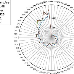 Codon Usage Plot