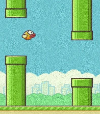 飞扬的小鸟 Vijos