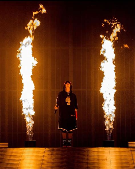 Billie Eilish Performing At Pukkelpop Festival In Hasselt Belgium On