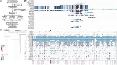 Workflow For Identifying Rice Full‐length Circular Rnas Circrnas And