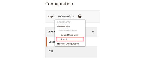 Magento 2 Multi Language Store Setup Guide