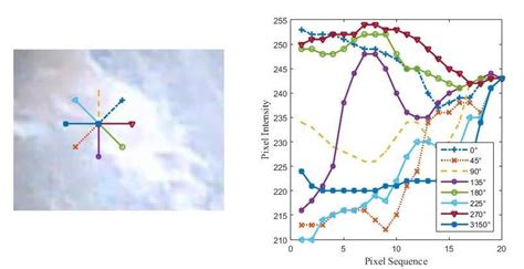 Non Laser Roi With Intensity Profile Lines And The Corresponding