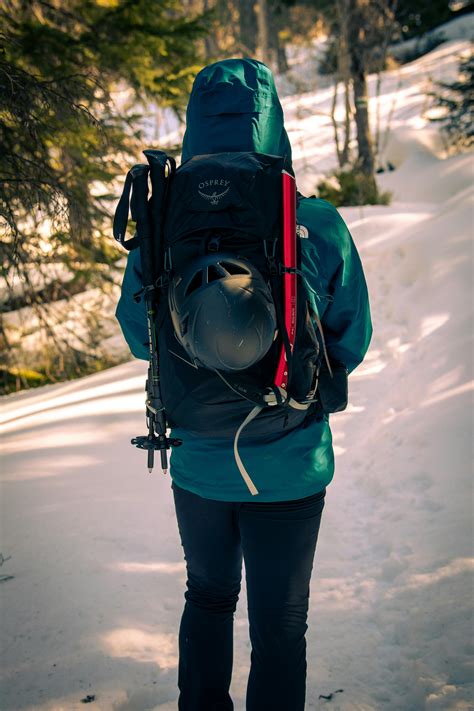 Безкоштовне стокове фото Dahl атмосферно відпочинок гори дерева дика місцевість дівчина