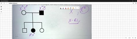 Solved The Five Modes Of Single Eene Inheritance Are Y Linked X Linked Dominant X Linked