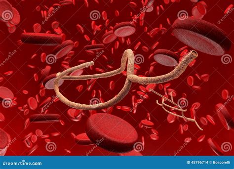 Hematocyte Cartoons Illustrations And Vector Stock Images 102 Pictures To Download From