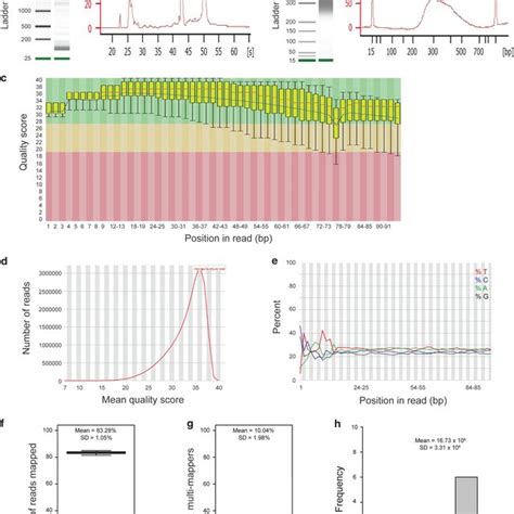 Quality Control Of The RNA Samples Sequencing Libraries Sequencing Download Scientific