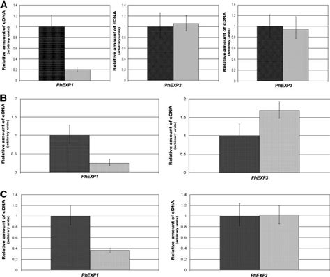 Specific Transcript Level Reduction Of Phexp1 Download Scientific Diagram
